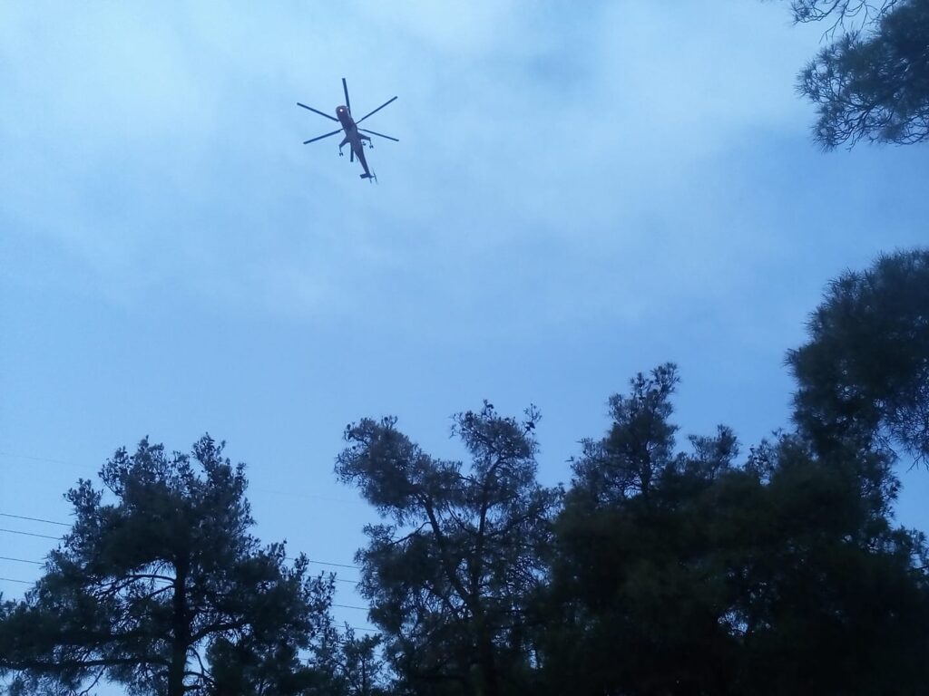 ΈΚΑΨΑΝ ΤΑ ΧΙΛΙΑ ΔΕΝΤΡΑ - ΑΝΥΠΟΛΟΓΙΣΤΗ Η ΟΙΚΟΛΟΓΙΚΗ ΚΑΤΑΣΤΡΟΦΗ ...
