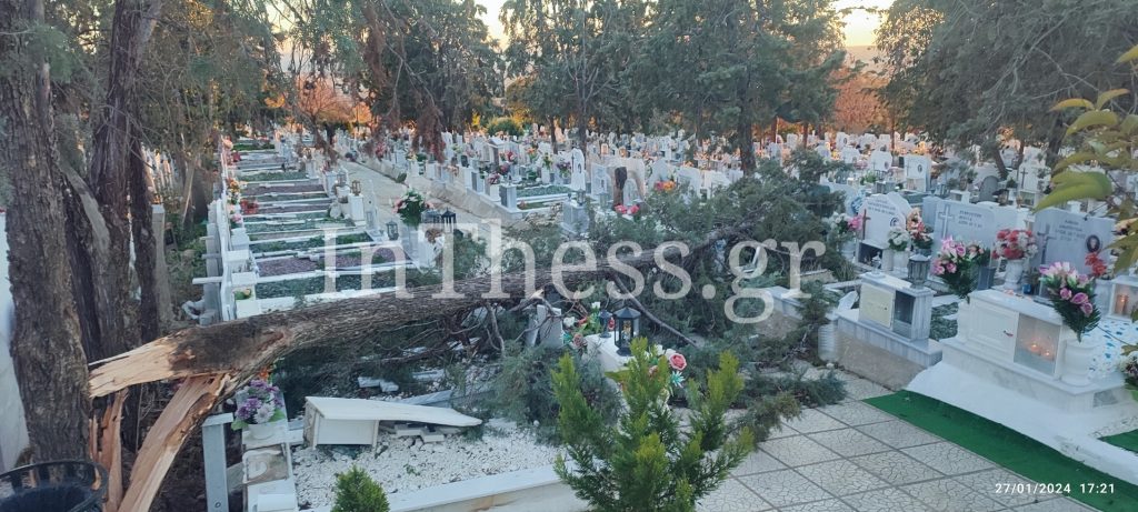Κυπαρίσσι έπεσε και έσπασε τάφους στα κοιμητήρια του Ευόσμου - InThess